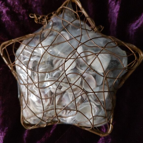 Unbranded | Wall Decor | Clear Water Beach Sea Shells In Decorative ...